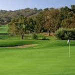 Sports Turf Series – Progressive Turf Equipment